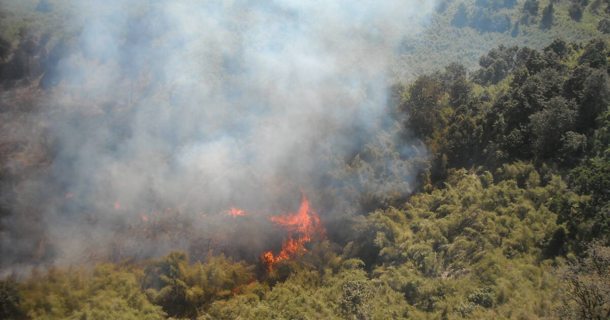 Google Expands Wildfire Boundary Tracker to Kenya, 16 Other Countries ...