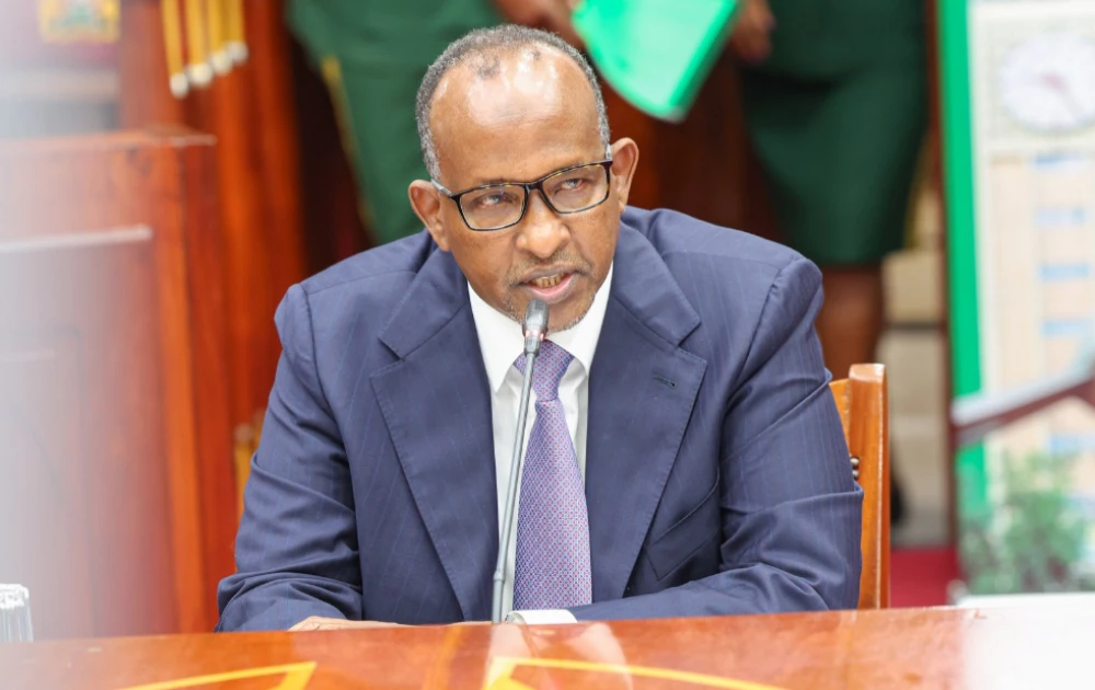Health CS Explains Shift from Linda Mama to New Household Health Model ...