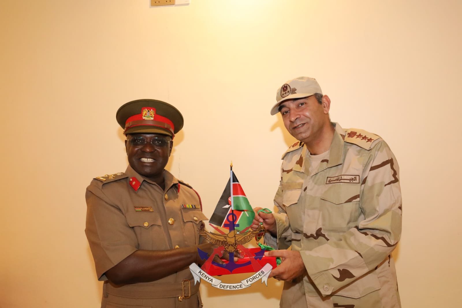 Kenya and Egypt Deepen Military Medical Cooperation in Nairobi Talks ...