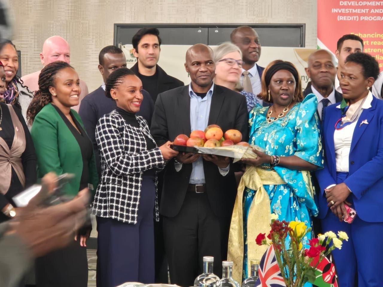 Kenya’s First-Ever Fresh Apple Mangoes Consignment Lands in UK - ynews ...