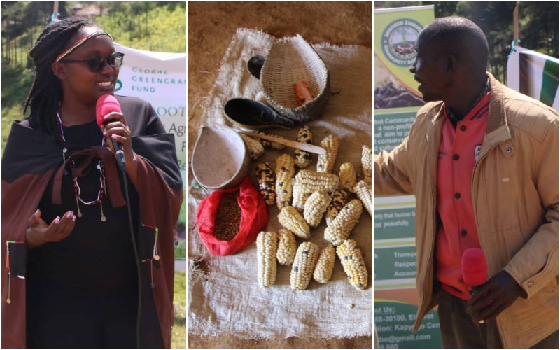 Kenyan Communities Turn to Indigenous Farming Solutions